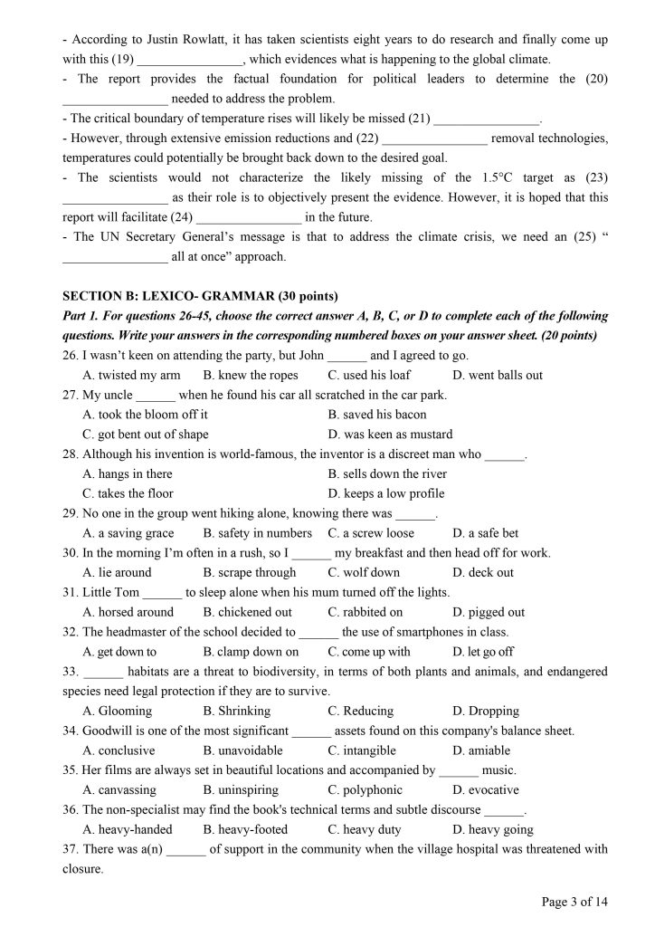 Đề thi môn tiếng Anh kỳ thi HSG khu vực Duyên hải và Đồng bằng Bắc Bộ (DHBB) năm 2024 - Lớp 11 ...